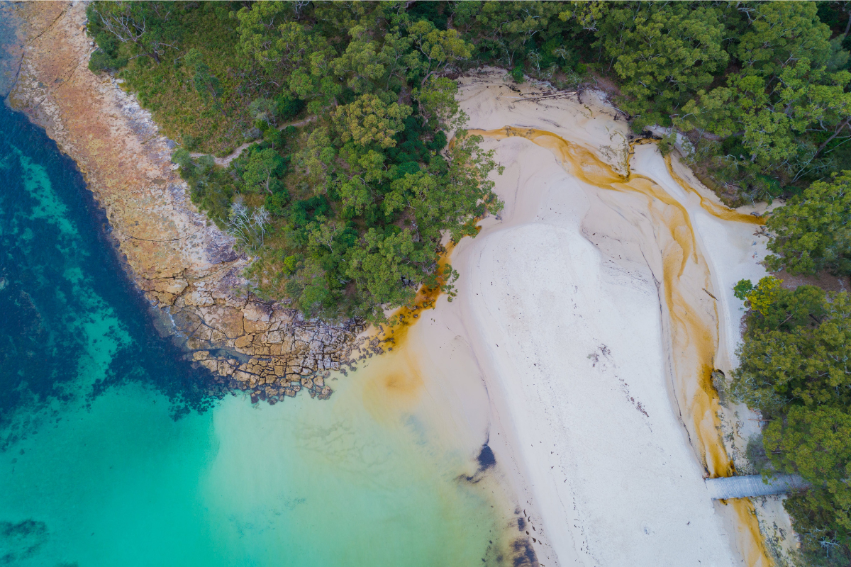 Camping & Wildlife Spotting at Booderee National Park (Jervis Bay ...